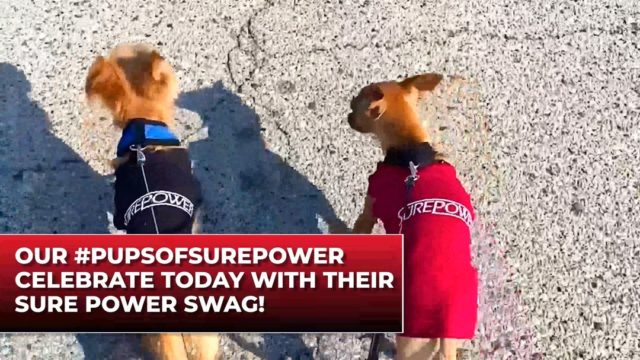 UPS Battery Sales and Service - Enersys, Deka, C&D - Sure Power, Inc